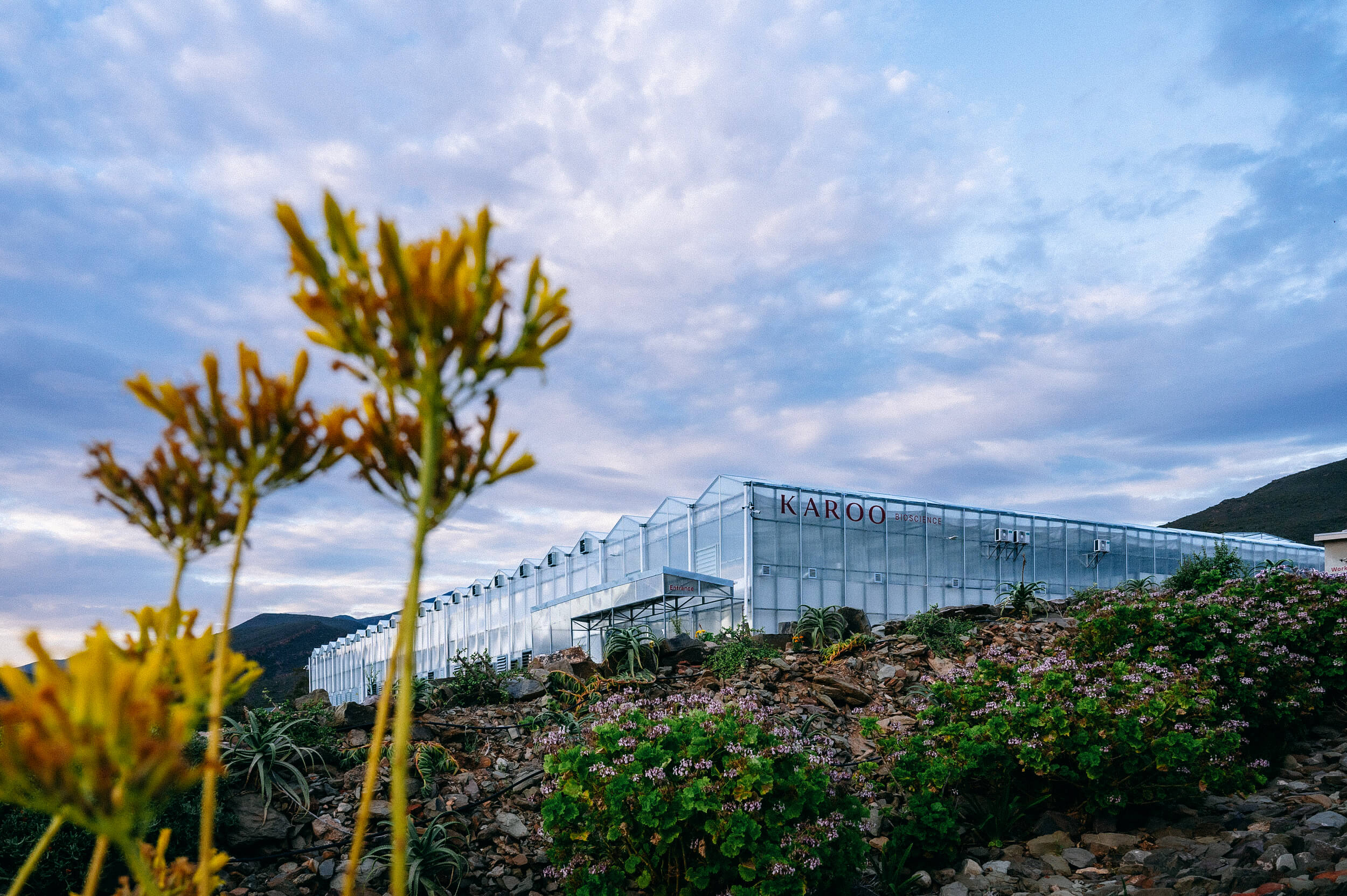 Karoo Bioscience Facility